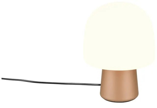 Stolní lampa v bílo-bronzové barvě se skleněným stínidlem (výška 27 cm) Steen – Trio