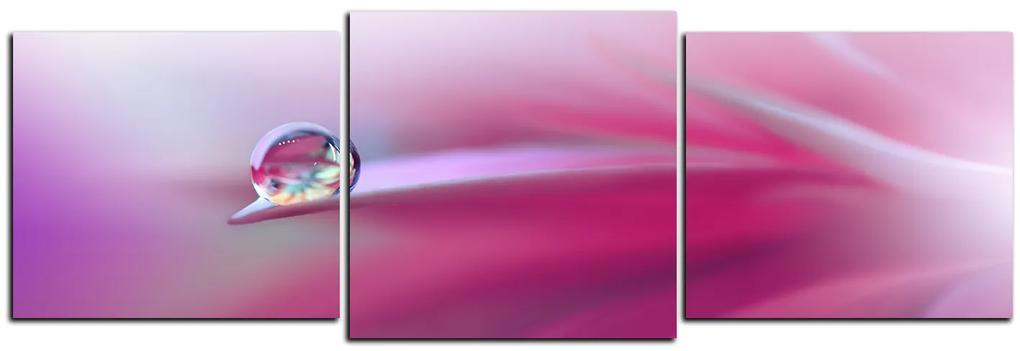 Obraz na plátně - Krásné květinové pozadí - panoráma 5215D (150x50 cm)