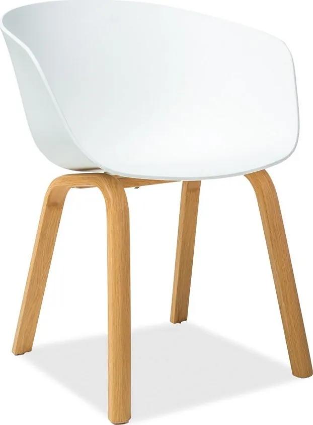 Casarredo - Komfort nábytek Jídelní židle EGO bílá/dub