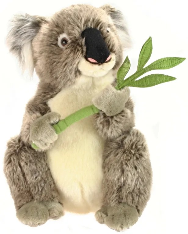 Plyš Koala 30 cm
