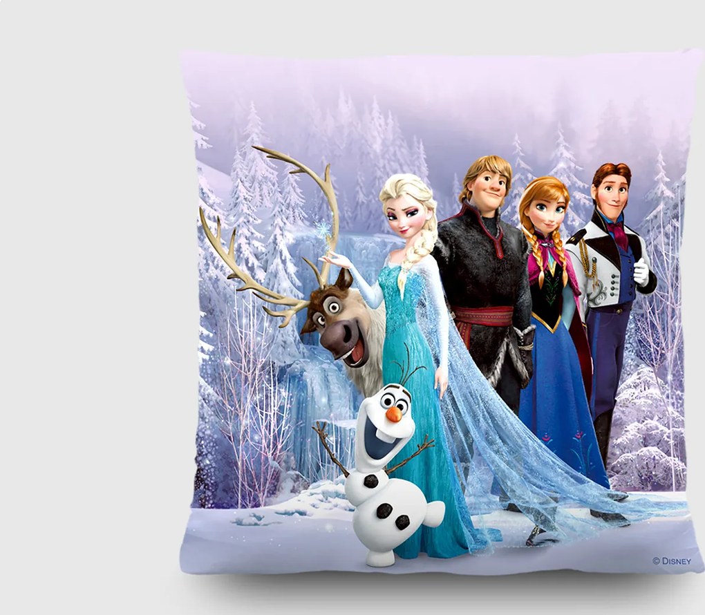 Dětský polštářek DISNEY LEDOVÉ KRÁLOVSTVÍ FROZEN 40x40 cm