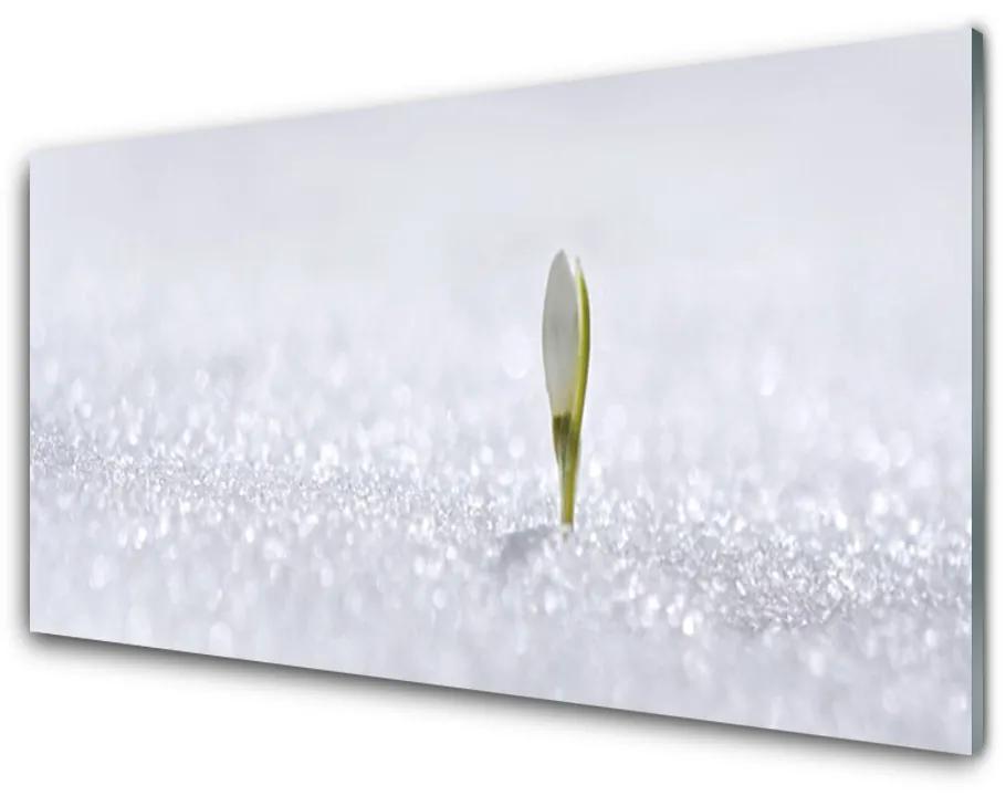 Plexisklo-obraz Sněženka Sníh Zima 120x60 cm
