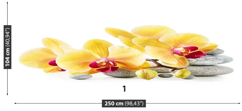 Fototapeta Žlutá orchidej 104x70