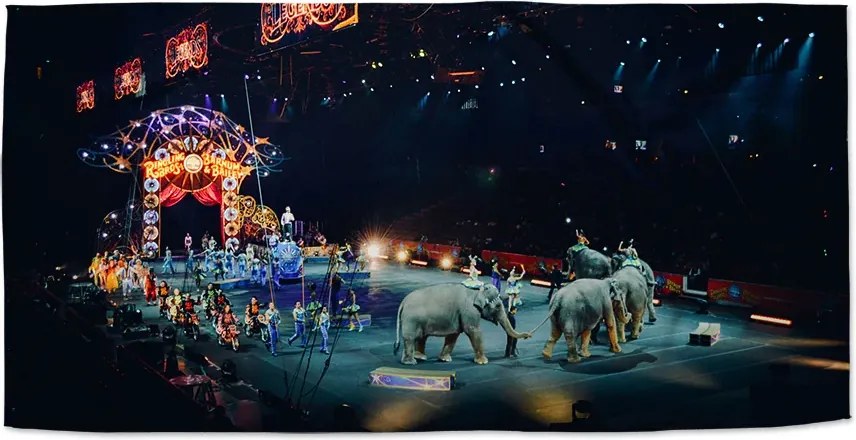 Sablio Ručník Cirkus - 50x100 cm