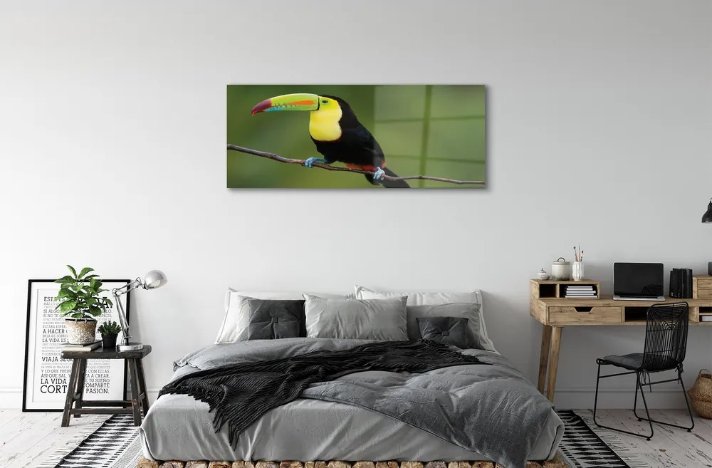 akrylový obraz Barevné papoušek na větvi 120x60 cm