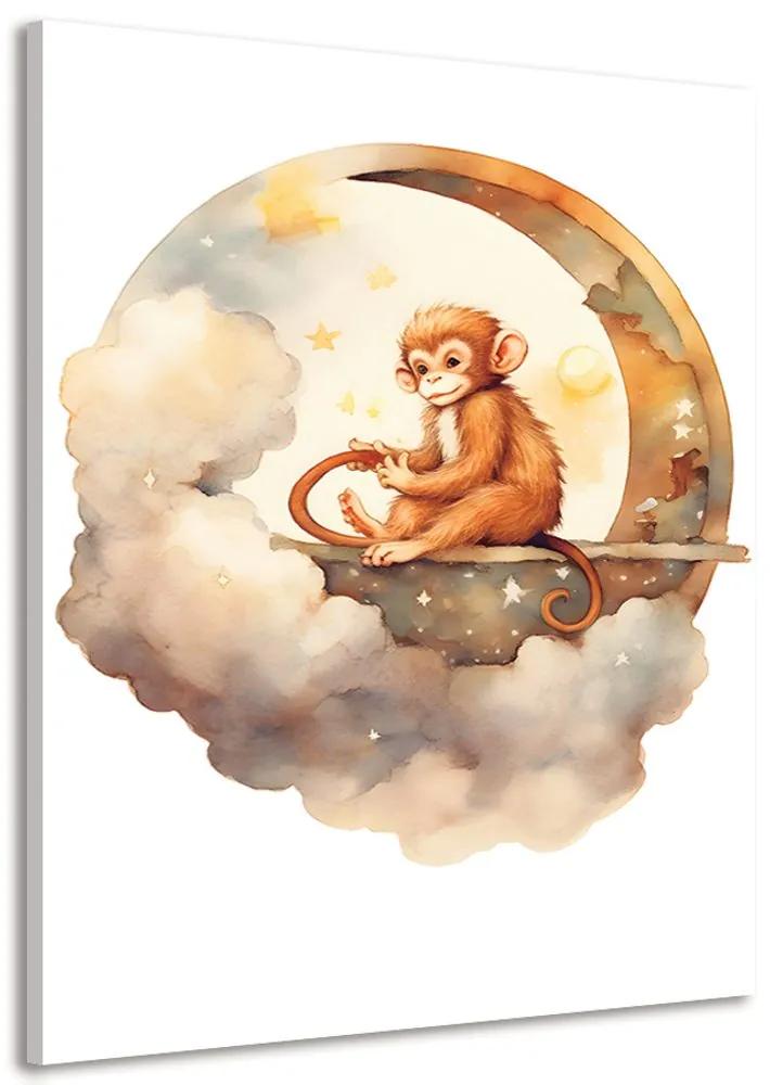 Obraz zasněná opice Varianta: 80x120