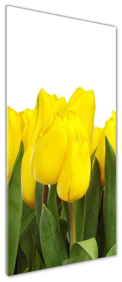 Wallmuralia Foto obraz fotografie na skle Žluté tulipány 50x125 cm