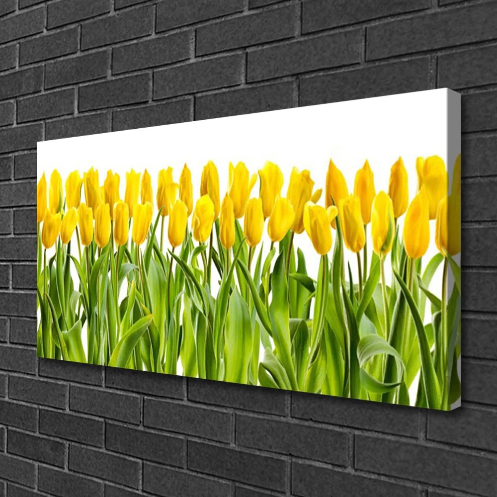 Obraz na plátně Tulipány Květiny Příroda 140x70 cm