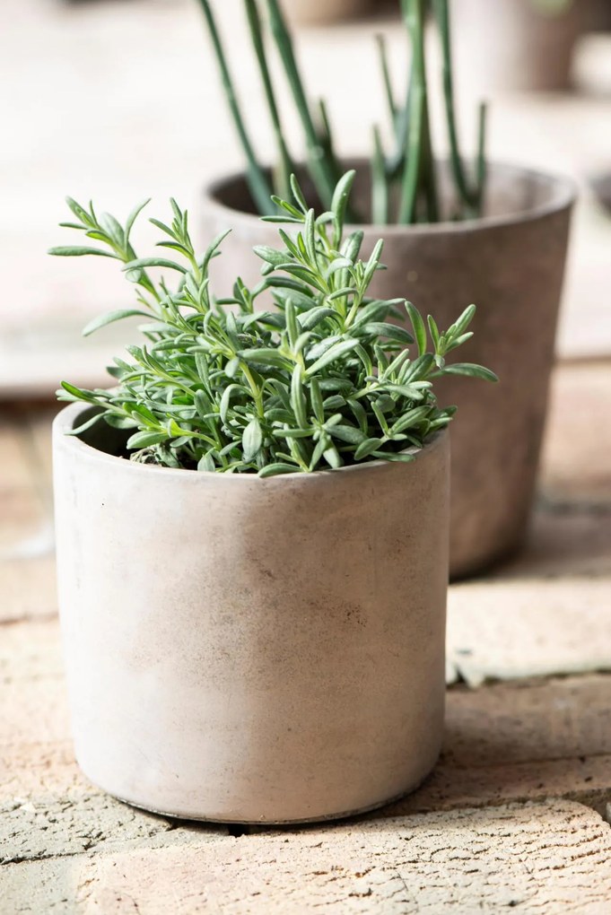 IB LAURSEN Betonový obal na květináč Concrete Brown, béžová barva, beton 9,5cmx11cm