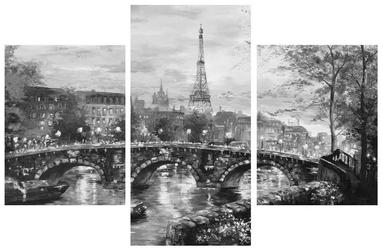Obraz černobílé krajiny s Eiffelovou věží (90x60 cm)