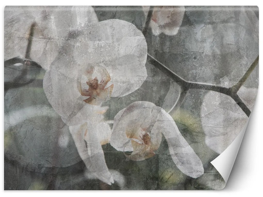 Gario Fototapeta Vintage orchidea Materiál: Vliesová, Rozměry: 200 x 140 cm