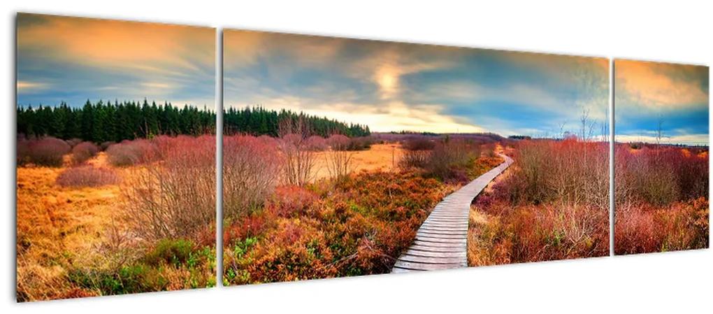 Obraz - Podzimní cesta krajinou (170x50 cm)