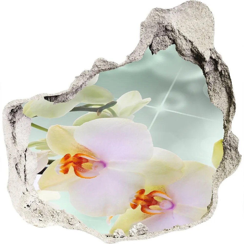 Wallmuralia Samolepící díra nálepka Bílá orchidej 75x75 cm