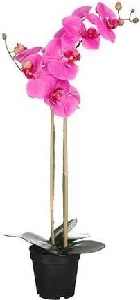 XXXLutz ORCHIDEJ PHALAENOPSIS - Umělé květiny - 004536076105
