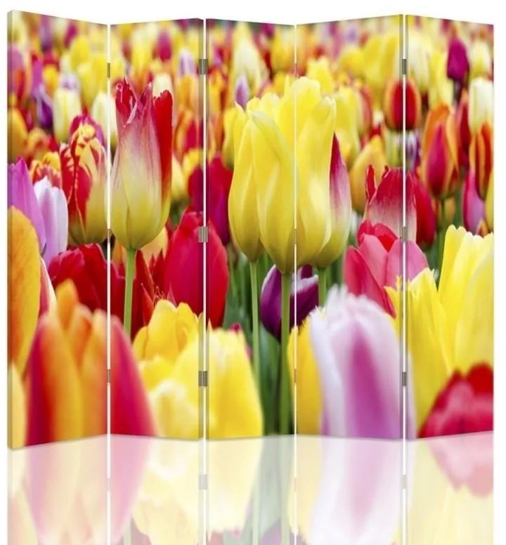 Ozdobný paraván, Pestrobarevné tulipány - 180x170 cm, pětidílný, klasický paraván