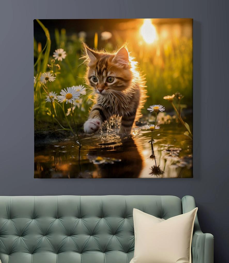 Obraz na plátně - Kotě objevuje krásy přírody FeelHappy.cz Velikost obrazu: 120 x 120 cm