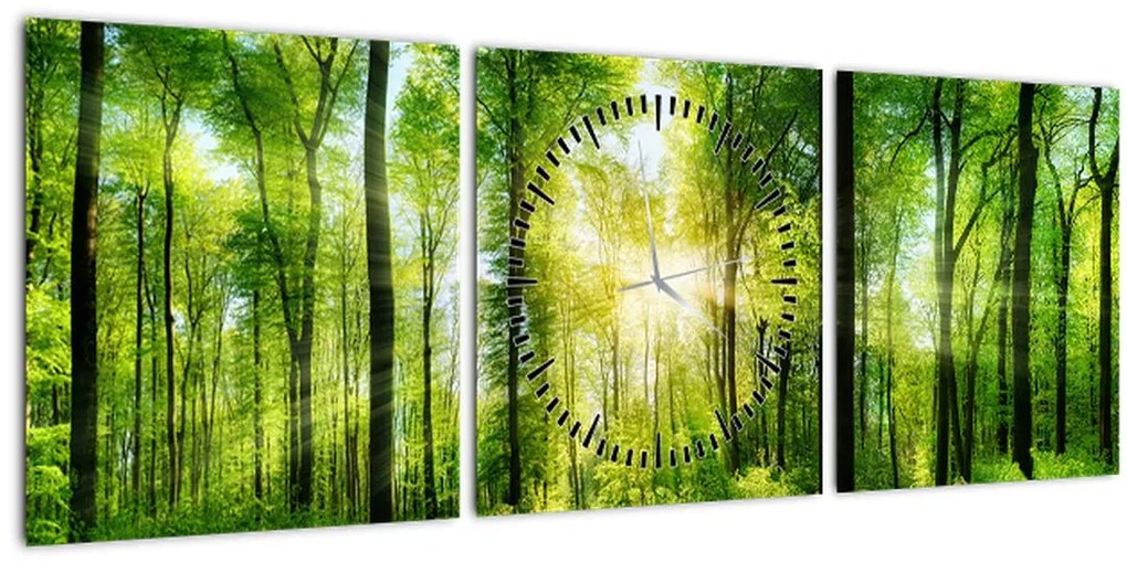 Obraz - Svítání v lese (s hodinami) (90x30 cm)