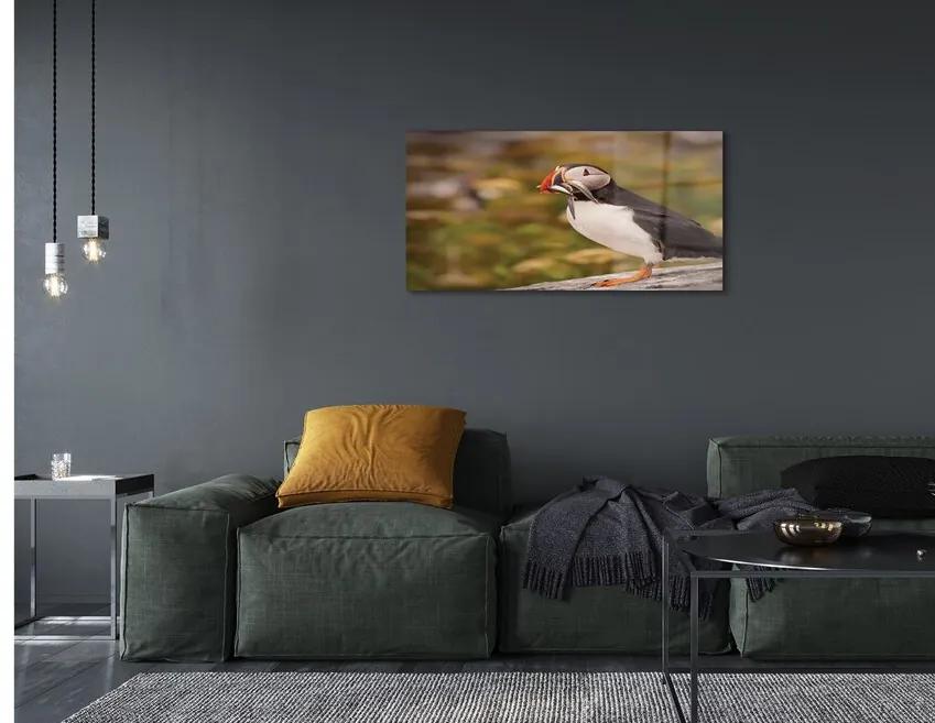 Obraz na skle Papoušek 100x50 cm