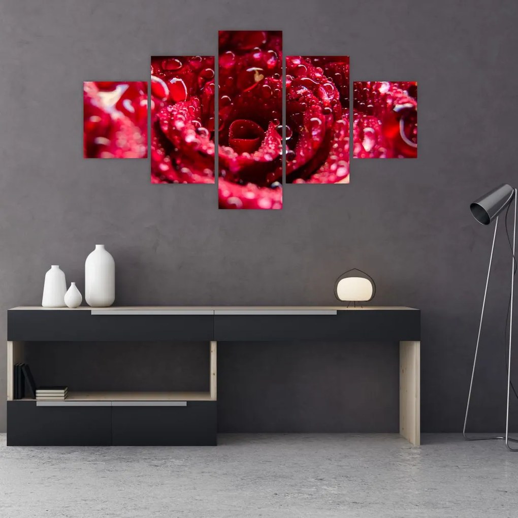 Obraz květu červené růže (125x70 cm)