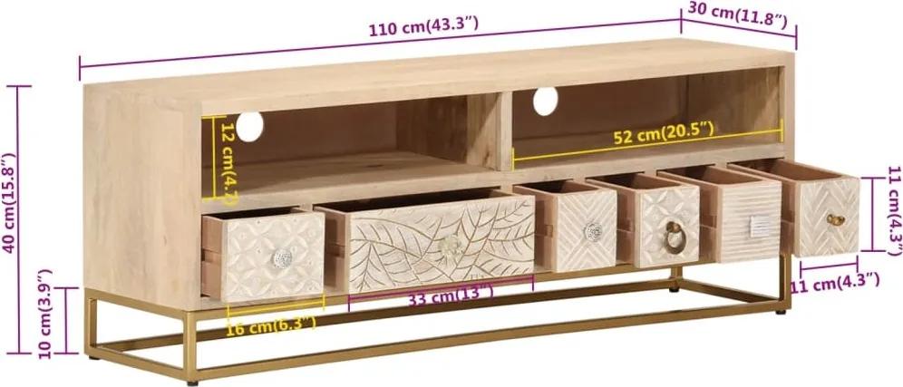 vidaXL TV skříňka 110 x 30 x 40 cm masivní mangovníkové dřevo a železo [372012]