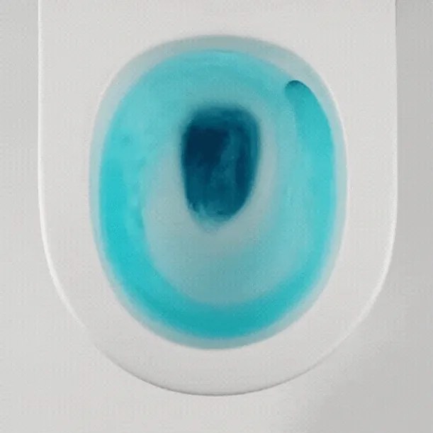 Laveo Jari Cycleon, závěsné WC s vířivým systémem CycleOn 485x370x325 mm + toaletní sedátko, bílá, LAV-VMJ_609S