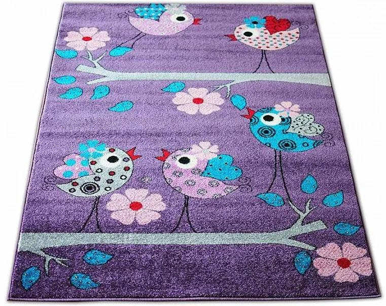 Dětský koberec BELLA PTÁČCI lila 160x220
