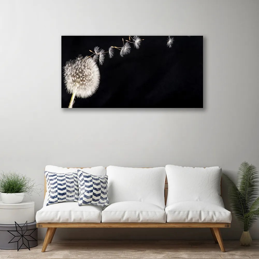 Obraz na plátně Pampeliška Rostlina 125x50 cm