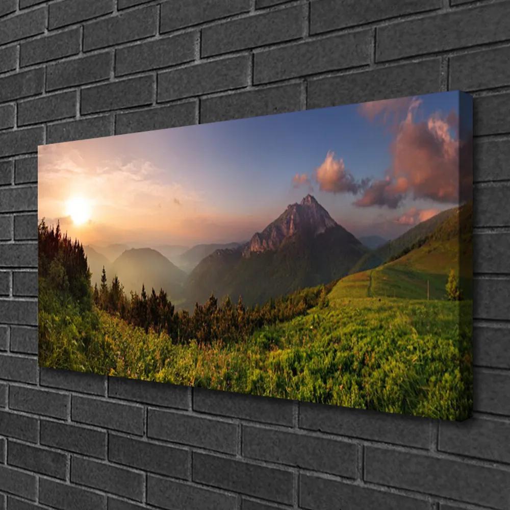 Obraz na plátně Hora Les Příroda 100x50 cm