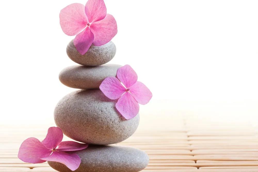 Obraz balanc kamenů a růžové orientální květy Varianta: 90x60