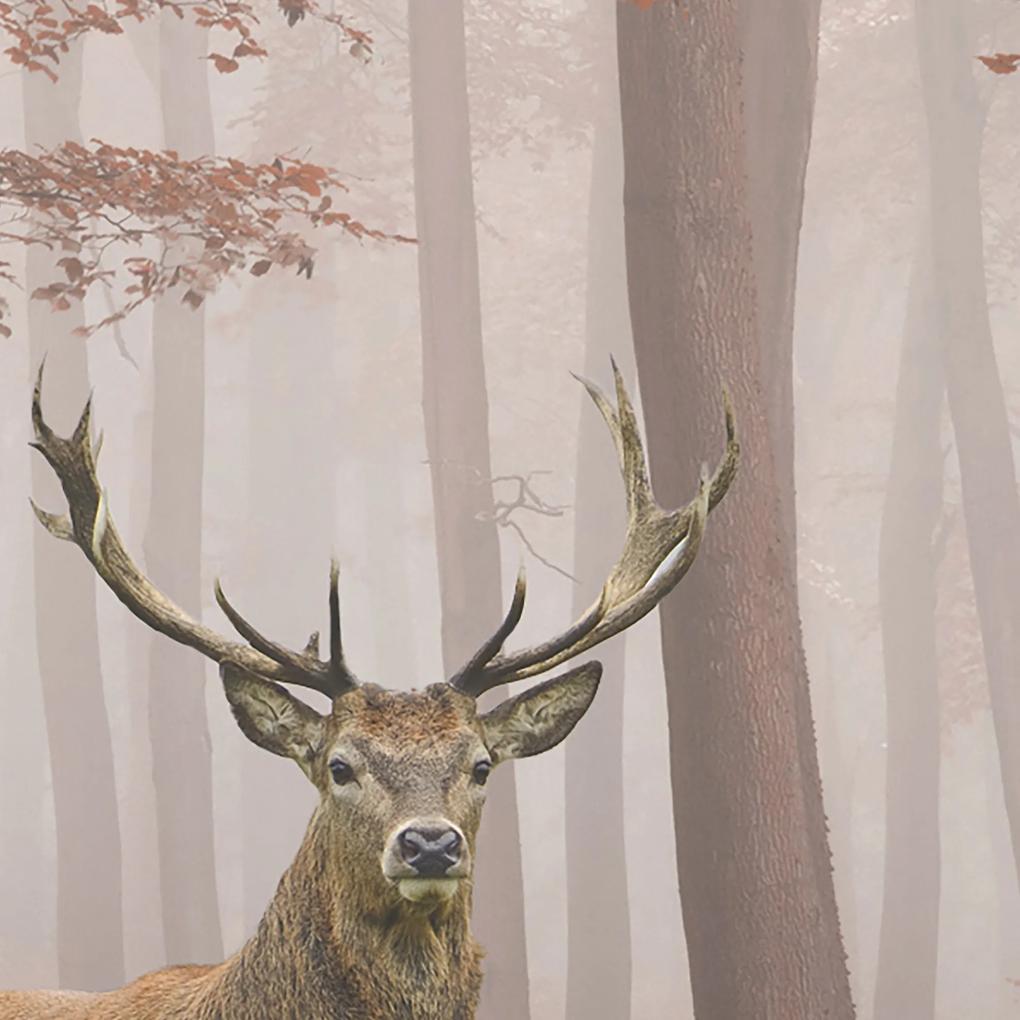 Malvis ® Tapeta Jelen v podzimním lese Vel. (šířka x výška): 144 x 105 cm