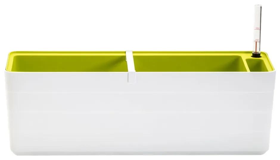 Bílo-zelený samozavlažovací truhlík Plastia Berberis , délka 59 cm