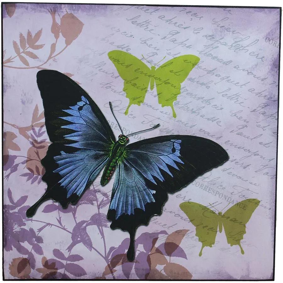 Obraz 38x38 - Motýl, 355117 Motýl