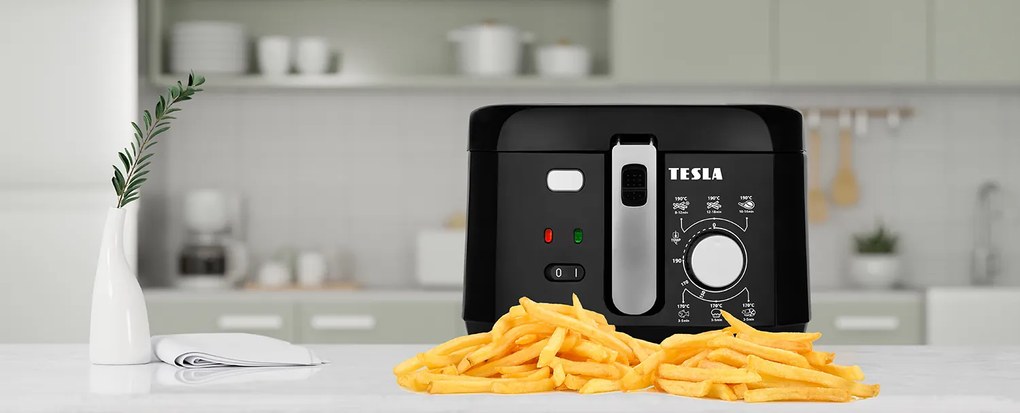 TESLA EasyCook AE300 - fritéza na olej