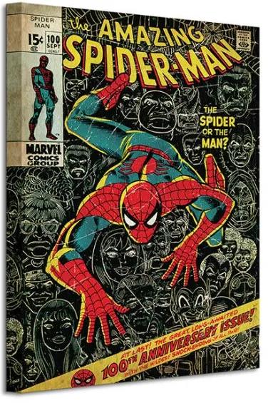 Obraz na plátně Marvel Spiderman (100th Anniversary) 40x50cm WDC94597