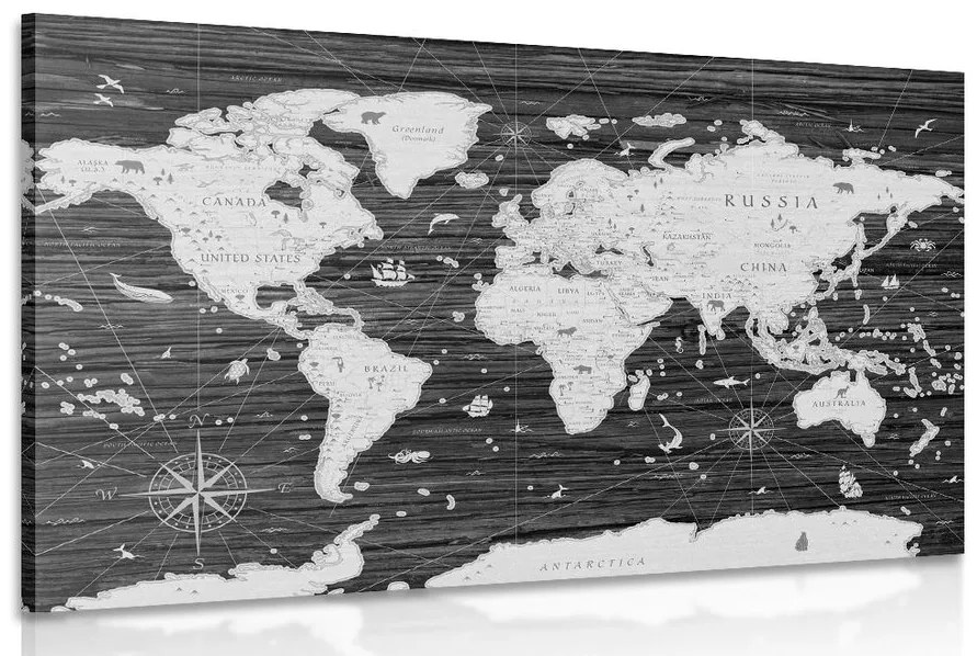 Obraz černobílá mapa na dřevěném pozadí Varianta: 90x60