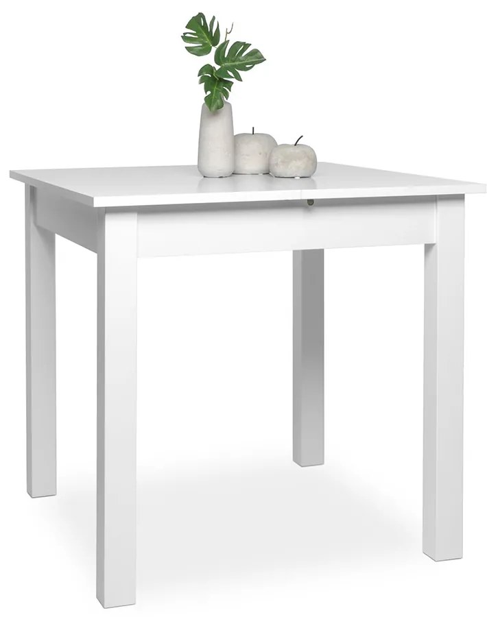 FARELA Jídelní stůl rozkládací Kronborg, 120 cm, bílá