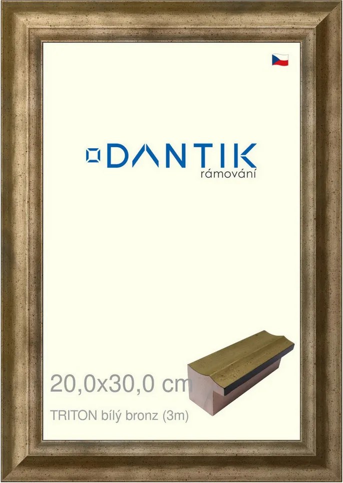 DANTIK rámeček 20x30 | TRITON bílý bronz (Sklo Čiré)