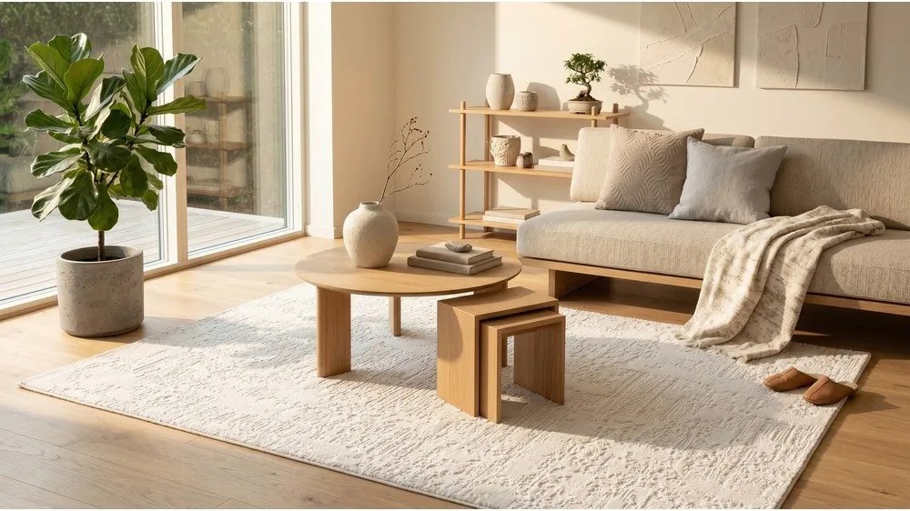 Krémový koberec 200x290 cm Celeste – ESTE