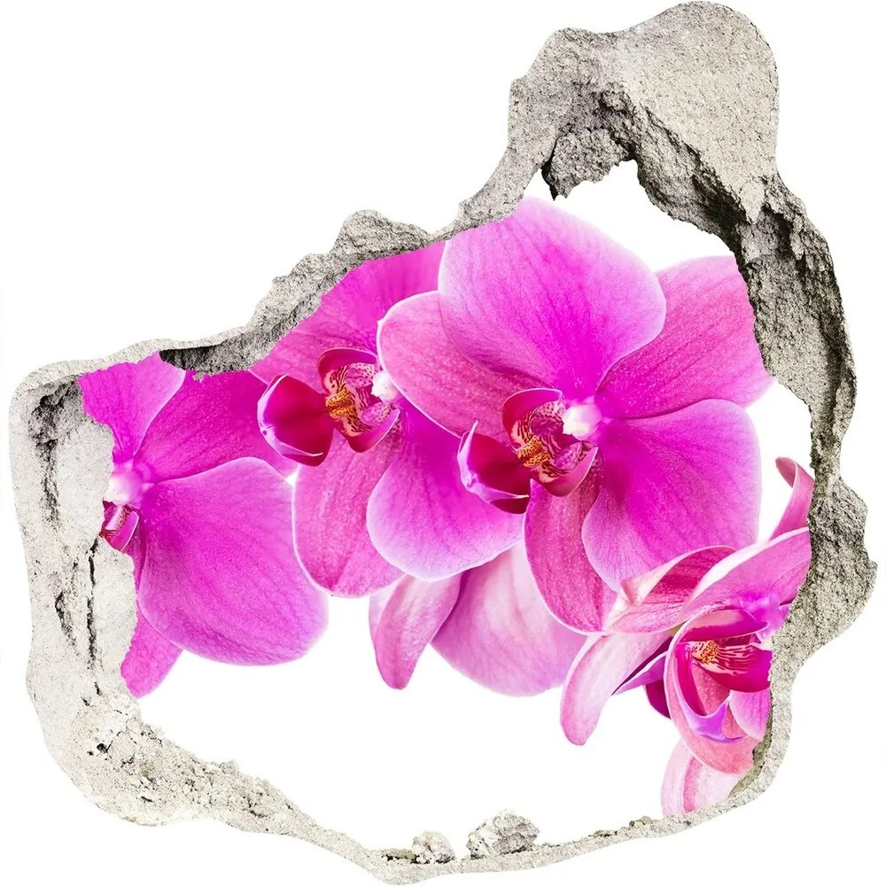 Wallmuralia Samolepící díra nálepka Růžová orchidej 75x75 cm