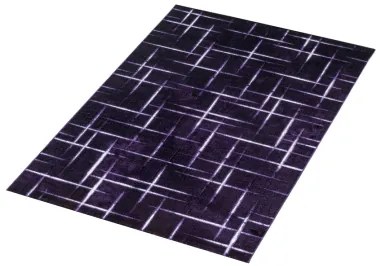 Koberce Breno Kusový koberec COSTA 3521 Lila, Fialová, Vícebarevné, 80 x 150 cm