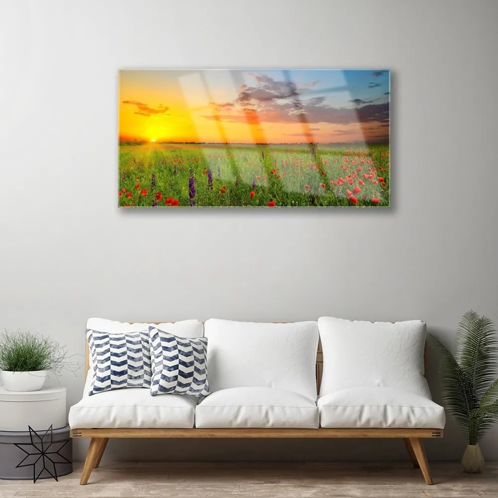 akrylový obraz Slunce Louka Květiny Příroda 100x50 cm