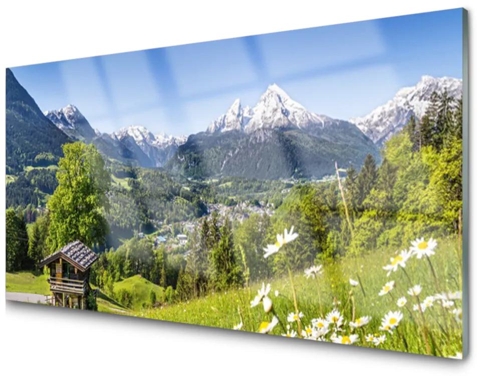 Obraz na skle Skleněný Hora Pole Příroda