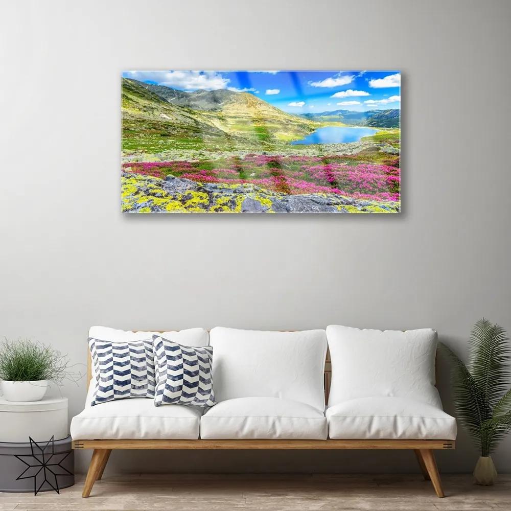 Obraz na skle Hora Záliv Louka Příroda 120x60 cm