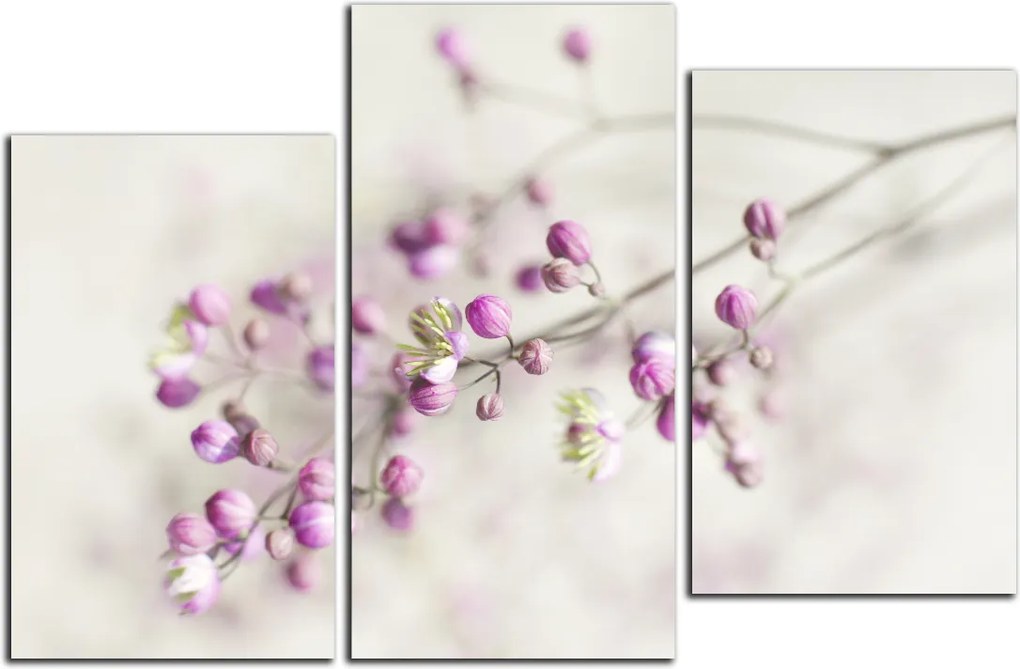 Obraz Detail květu , vícedílný