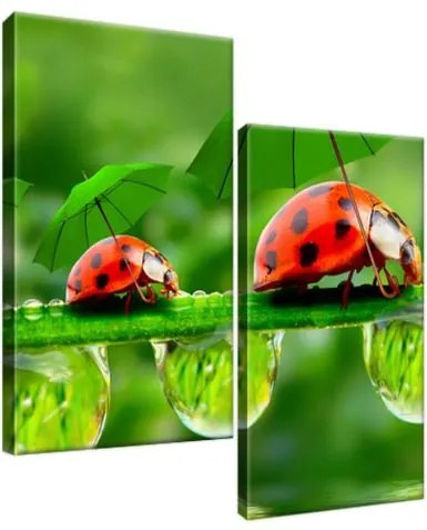 Tištěný obraz Berušky s deštníky 60x60cm 2043A_2A