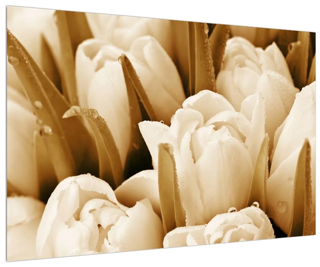 Obraz tulipánů  (90x60 cm)