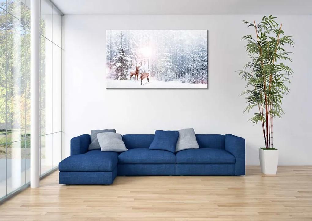 Obraz Jelen na sněhu Velikost (šířka x výška): 100x60 cm
