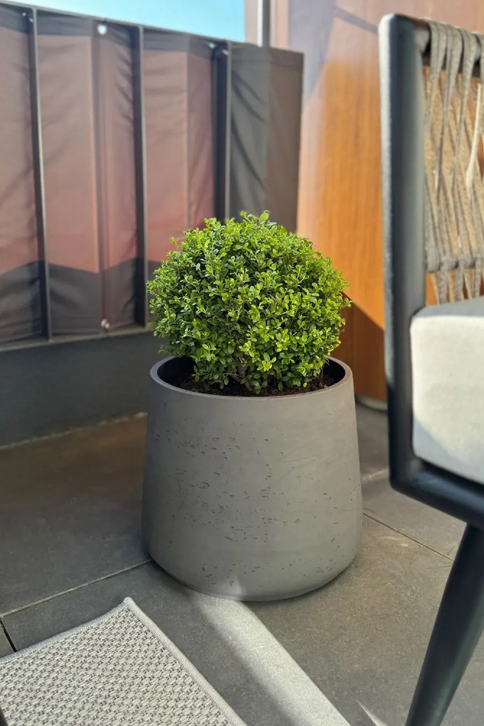 Květináč TROPICO, sklolaminát, výška 29 cm, antracit