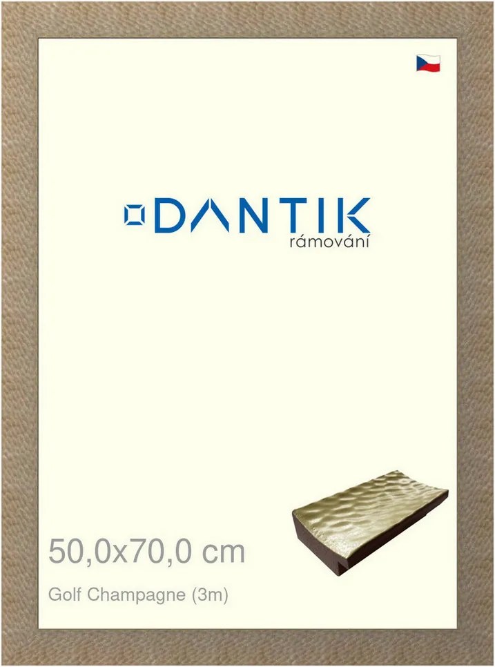 DANTIK rámeček 50x70 | Golf champagne (Plexi Čiré)