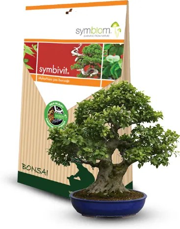 Symbivit Bonsai 150g